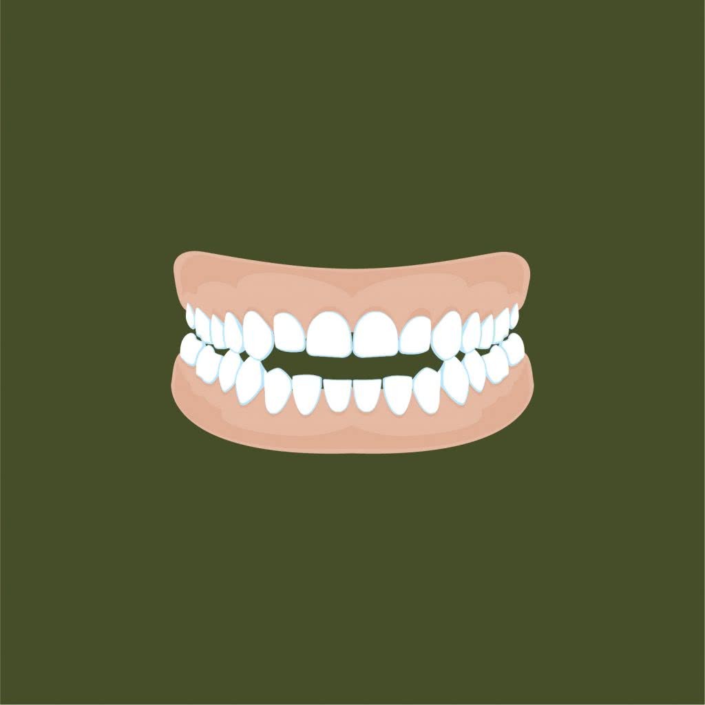 Corinna St Orthodontics: Openbite